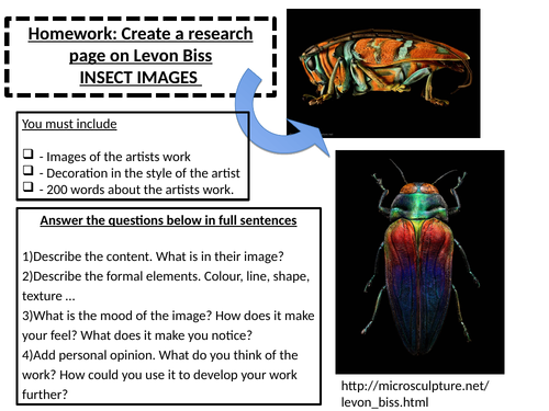 Art - Insects | Teaching Resources
