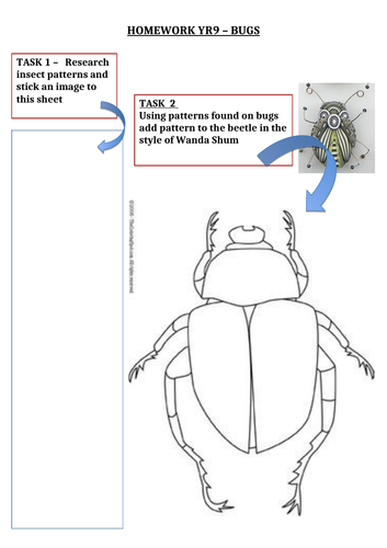 Art - Insects | Teaching Resources