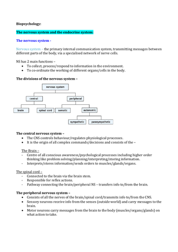 Biopsychology Notes (AQA Psychology A-Level) | Teaching Resources Biopsychology Notes (AQA Psychology A-Level) | Teaching Resources