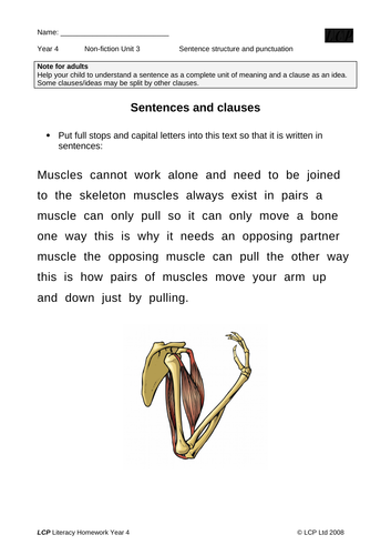 Year 4 English/ Literacy Home Learning Pack (48 sheets) including ...