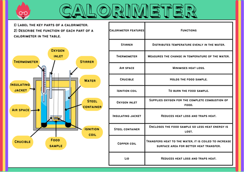IGCSE Edexcel Biology (9-1) Human Digestion *UPDATED* | Teaching Resources