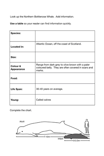 1 Week Literacy Distance Learning: PACK TWO (age 8-10 years) | Teaching ...