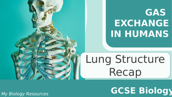 GCSE Biology: Complete Lesson and Recap Test on Lung Structure ...