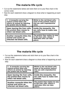 Malaria: Storyboard Worksheet | Teaching Resources