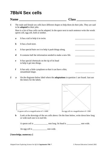 Puberty | Teaching Resources