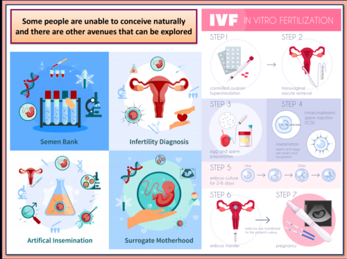 Fertility Women and Men PSHE | Teaching Resources