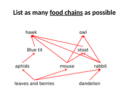 Bioaccumulation Full Lesson | Teaching Resources