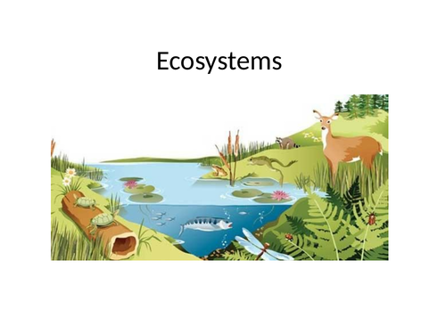 Full Ecosystem Lesson | Teaching Resources