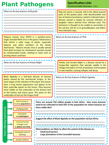 A Level Biology Plant Pathogens (Disease) Lesson & Activities ...