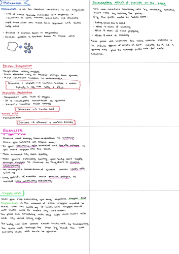 GCSE BIOLOGY PAPER 1 FLASHCARDS | Teaching Resources