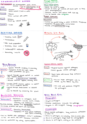 GCSE BIOLOGY PAPER 1 FLASHCARDS | Teaching Resources