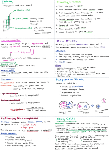 GCSE BIOLOGY PAPER 1 FLASHCARDS | Teaching Resources