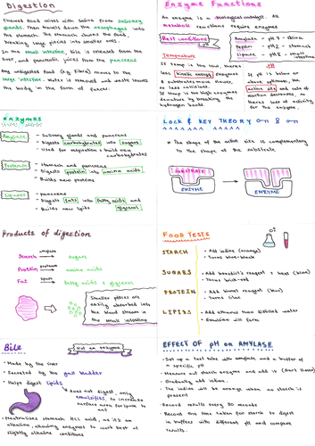 GCSE BIOLOGY PAPER 1 FLASHCARDS | Teaching Resources
