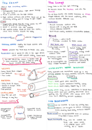 GCSE BIOLOGY PAPER 1 FLASHCARDS | Teaching Resources