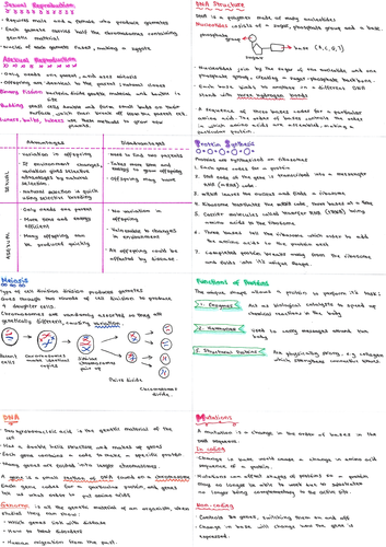 GCSE BIOLOGY PAPER 2 FLASHCARDS | Teaching Resources