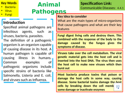 A Level Biology Animal Pathogens (Disease) Lesson & Activities ...
