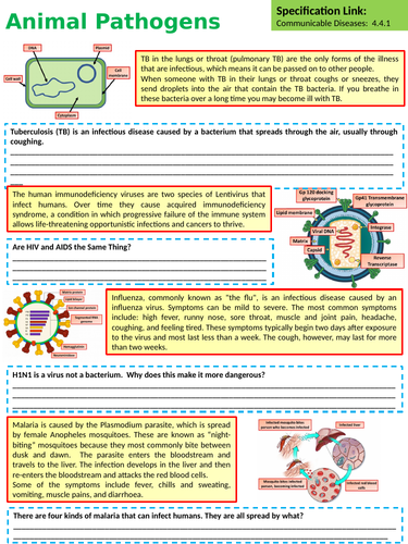 A Level Biology Animal Pathogens (Disease) Lesson & Activities ...