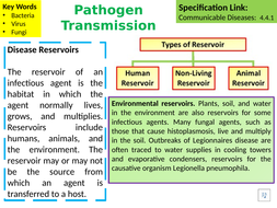 A Level Biology Disease (Pathogen) Transmission Lesson & Activities ...