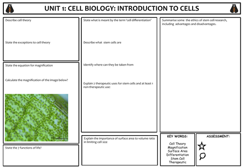 IB Biology - Topic 1 - Cell Biology - Summary | Teaching Resources