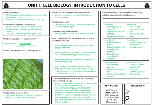 IB Biology - Topic 1 - Cell Biology - Summary | Teaching Resources