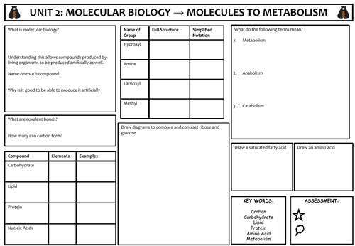 IB Biology - Topic 2 - Molecular Biology - Summary | Teaching Resources