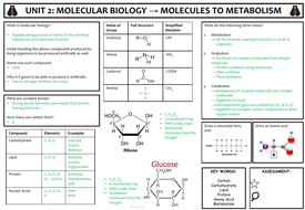 IB Biology - Topic 2 - Molecular Biology - Summary | Teaching Resources
