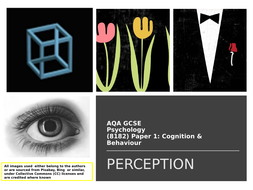 AQA GCSE Psychology: PERCEPTION, Remote Learning Pack, Set #3 ...