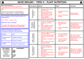 IGCSE Biology - Topic 6 - Plant Nutrition - Summary | Teaching Resources