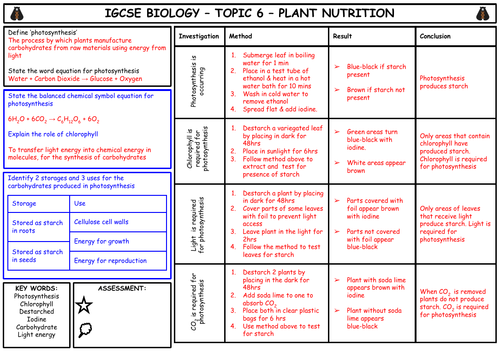 IGCSE Biology - Topic 6 - Plant Nutrition - Summary | Teaching Resources