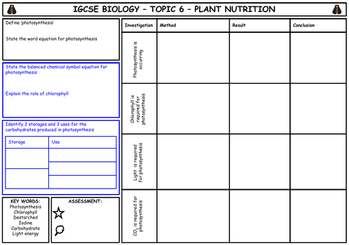 IGCSE Biology - Topic 6 - Plant Nutrition - Summary | Teaching Resources