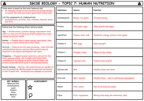 IGCSE Biology - Topic 7 - Human Nutrition - Summary | Teaching Resources