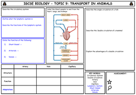 IGCSE Biology - Topic 9 - Transport in Animals - Summary | Teaching ...