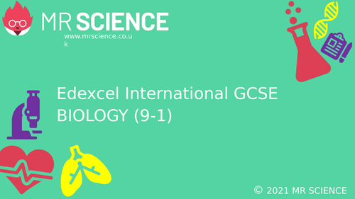 Igcse Edexcel Biology 9 1 Reproduction Humans Updated Teaching