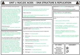IB Biology - Topic 7 - Nucleic Acids - Summary | Teaching Resources