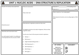 IB Biology - Topic 7 - Nucleic Acids - Summary | Teaching Resources