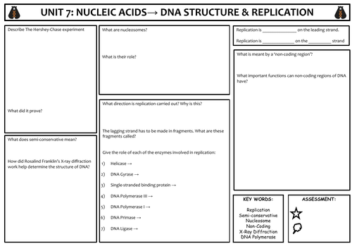 IB Biology - Topic 7 - Nucleic Acids - Summary | Teaching Resources