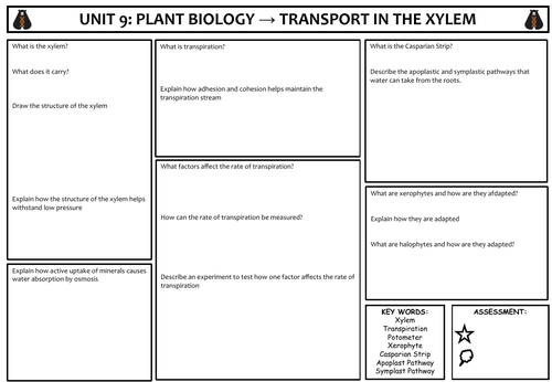 IB Biology - Topic 9 - Plant Biology - Summary | Teaching Resources