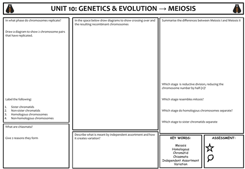 IB Biology - Topic 10 - Genetics & Evolution - Summary | Teaching Resources