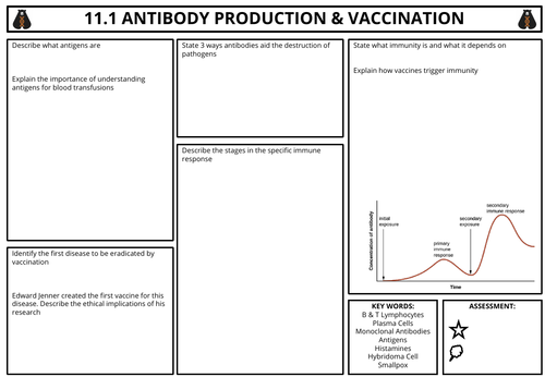 IB Biology - Topic 11 - Animal Physiology - Summary | Teaching Resources