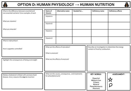 IB Biology - Option D - Human Physiology - Summary | Teaching Resources