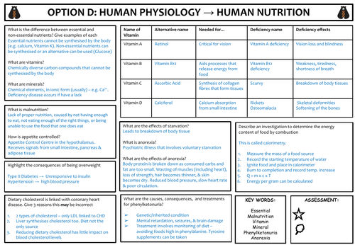 IB Biology - Option D - Human Physiology - Summary | Teaching Resources