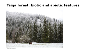 Taiga forests; Biotic and abiotic features | Teaching Resources