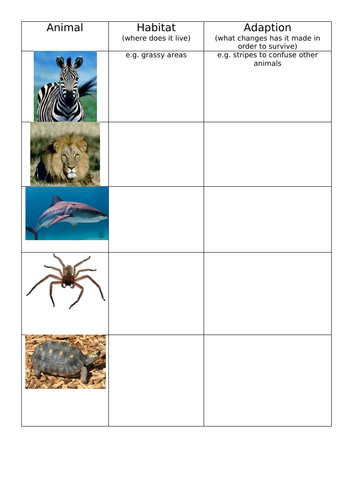 Animal habitats and adaption | Teaching Resources