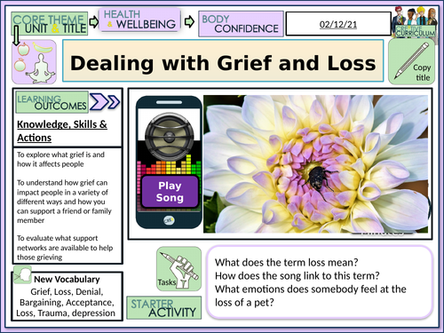 Grief Loss Bereavement - PSHE | Teaching Resources