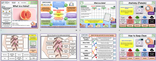 Vagina Vs Vulva - Female Anatomy - PSHE | Teaching Resources