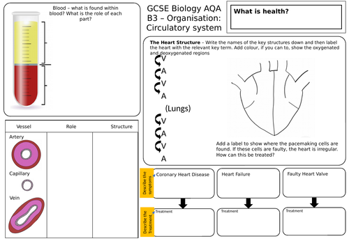 Circulatory system revision sheet - AQA GCSE Biology | Teaching Resources Circulatory system revision sheet - AQA GCSE Biology | Teaching Resources