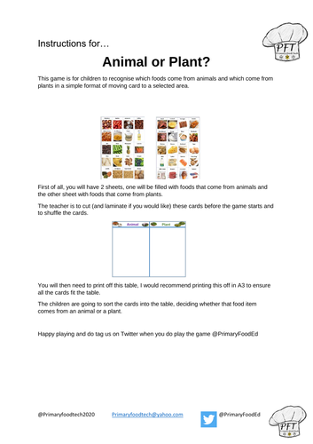 Animal or Plant- Table Activity | Teaching Resources