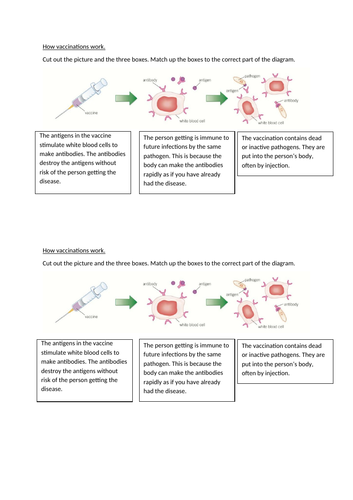 Vaccination | Teaching Resources