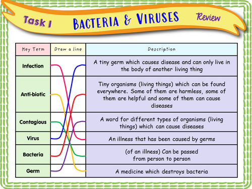 Germs, Bacteria and Viruses PSHE | Teaching Resources