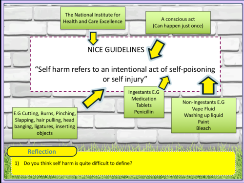 Self Harm - PSHE | Teaching Resources